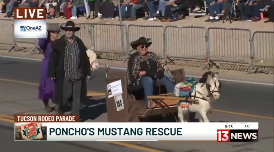 Ponchos Mustang Rescue